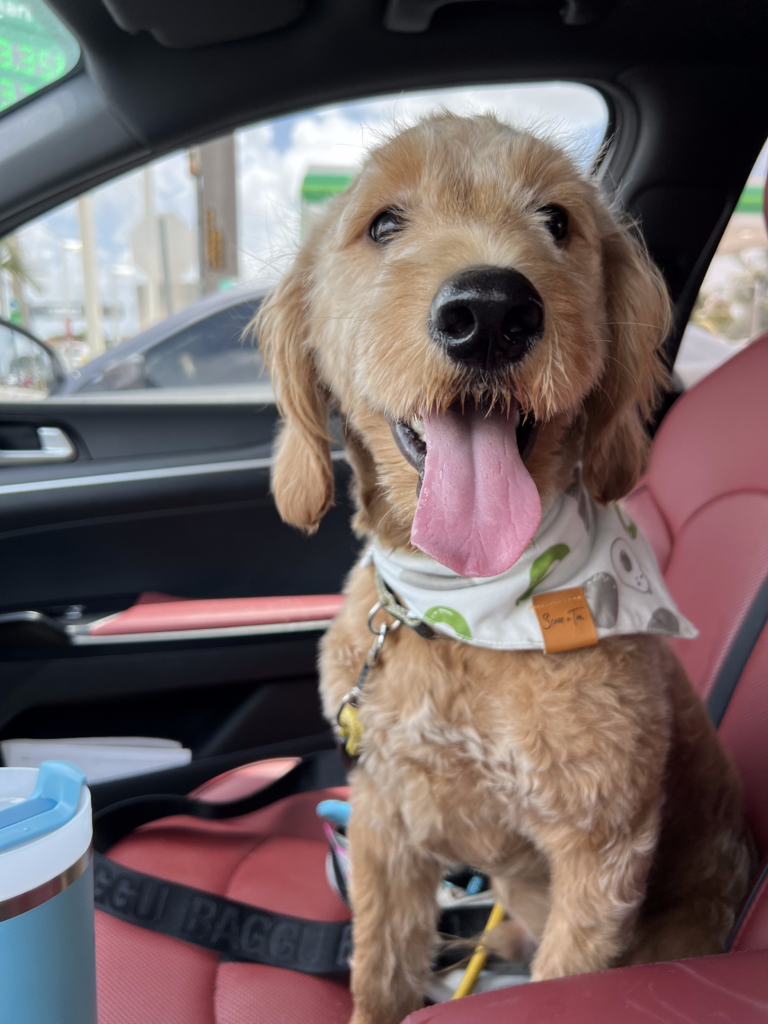 Advanced Veterinary Care Center